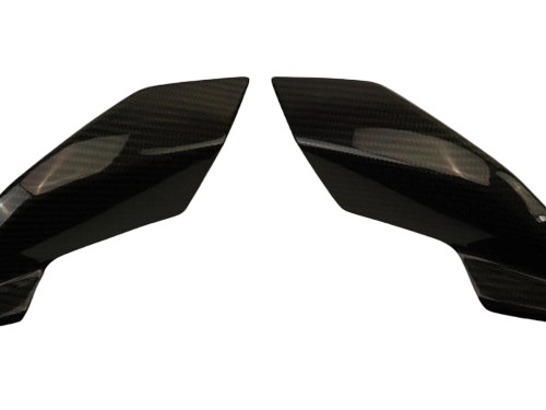 Carbon Side light cover BMW S1000R 2021- M1000R 2023- - Moto Vision